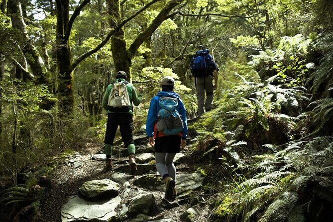 Rob Roy Glacier Guided Walk - Transportation and Group Size