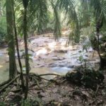 Roberto Barrios Waterfalls from Palenque - Is This Tour Worth the Price?