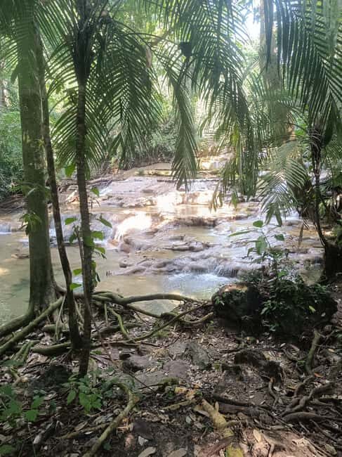 Roberto Barrios Waterfalls from Palenque - Is This Tour Worth the Price?
