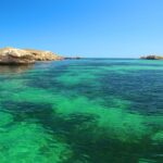 Rockingham: 3 Island Wildlife Snorkeling Cruise with Lunch - The Lunch Experience: Fresh & Fulfilling