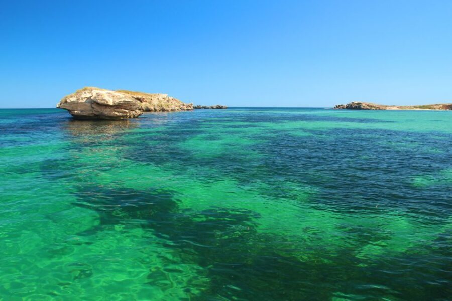 Rockingham: 3 Island Wildlife Snorkeling Cruise with Lunch - The Lunch Experience: Fresh & Fulfilling