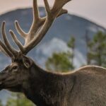 Rocky Mountain Full Day Private Tour & Hike - What’s Included and What to Consider