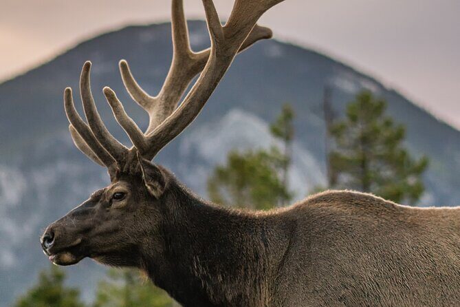 Rocky Mountain Full Day Private Tour & Hike - What’s Included and What to Consider