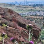 Rocky Mountain HIGH: Cannabis Mountain Tour - Who Is This Tour Best For?