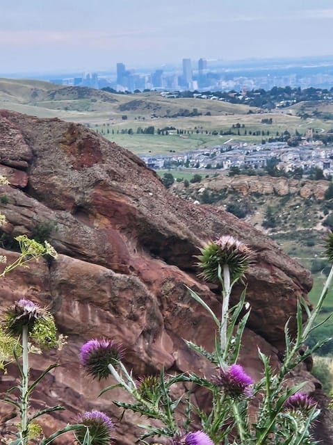 Rocky Mountain HIGH: Cannabis Mountain Tour - Who Is This Tour Best For?