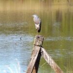 Roma: 1-Hour Guided Nature Trail Walk - Final Thoughts
