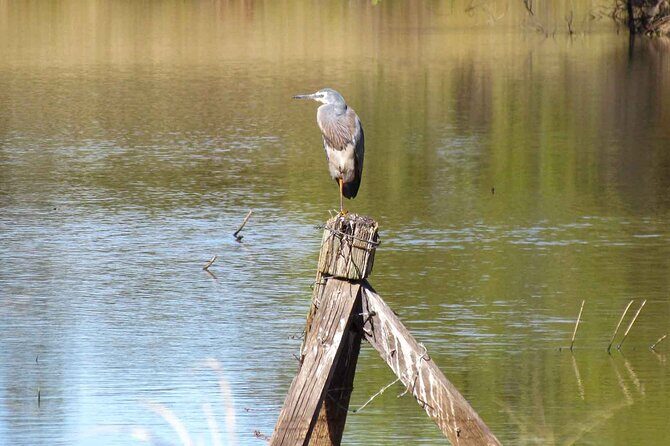 Roma: 1-Hour Guided Nature Trail Walk - Final Thoughts
