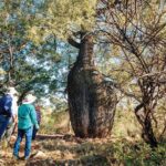 Roma: Landscape and Legacy Day Tour Including Lunch - Authentic Experiences That Set This Tour Apart