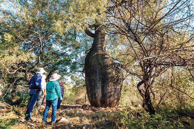 Roma: Landscape and Legacy Day Tour Including Lunch - Authentic Experiences That Set This Tour Apart