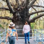 Roma: Roma Revelation Half Day Tour - The Guide and Group Experience
