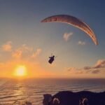 Romantic Auckland Sunset tour with Winery & Thermal pool - Who Will Love This Tour?