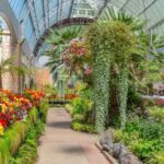 Romantic Charms of Auckland  Private Walking Tour - The Practicalities and What They Mean for You