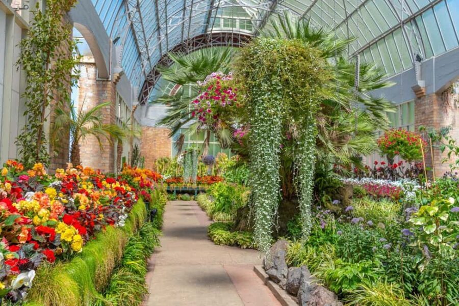 Romantic Charms of Auckland  Private Walking Tour - The Practicalities and What They Mean for You
