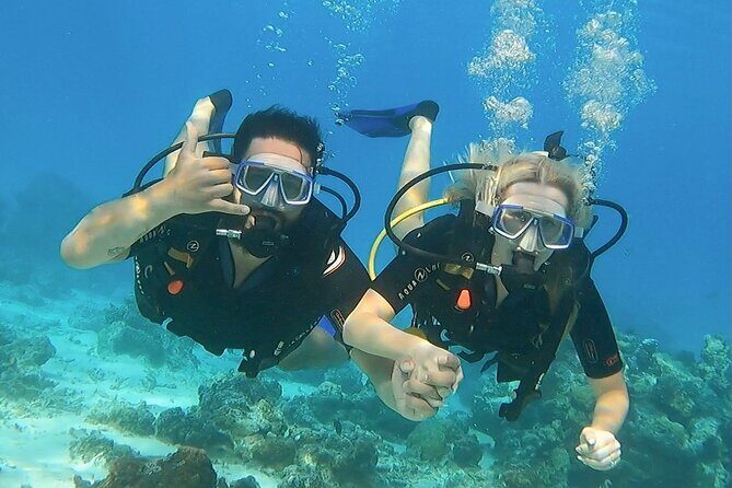 Romantic Dive for beginners in Bora Bora (2 people) with Video - Who Should Consider This Tour
