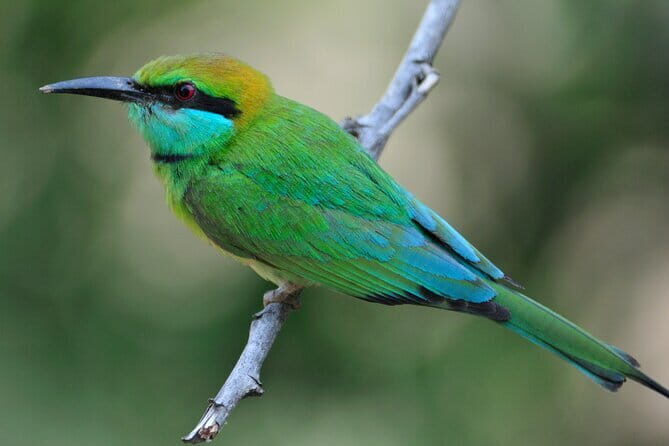 Romantic Glamping Safari Bordering Yala National Park - The Social and Recreational Atmosphere