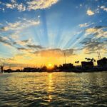 Romantic-Surprise Dinner-Wine & Cheese or Sushi Boat Cruise - The Food and Drink: From Surprise Menus to Local Delicacies