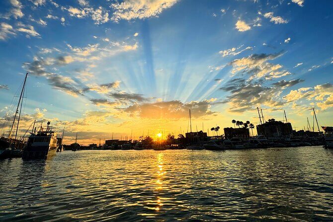 Romantic-Surprise Dinner-Wine & Cheese or Sushi Boat Cruise - The Food and Drink: From Surprise Menus to Local Delicacies
