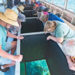 Rosslyn: Great Keppel Island Glass Bottom Boat Tour - The Breakdown of the Day