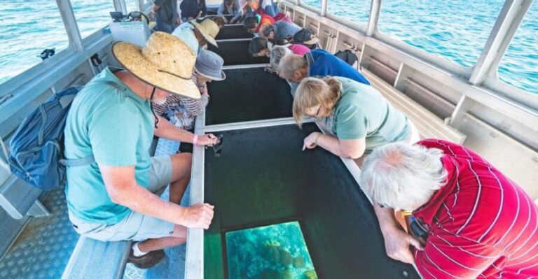 Rosslyn: Great Keppel Island Glass Bottom Boat Tour - The Breakdown of the Day