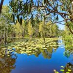 Rossville: Aboriginal Cultural Experience with Mooks - The Real Value of the Tour