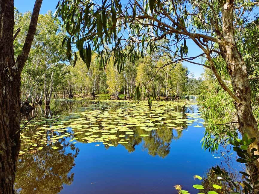 Rossville: Aboriginal Cultural Experience with Mooks - The Real Value of the Tour