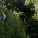 Rotorua: 6 Ziplines, 400m Tandem, Cliff Walk & Swing Bridges - The Value and Overall Impressions