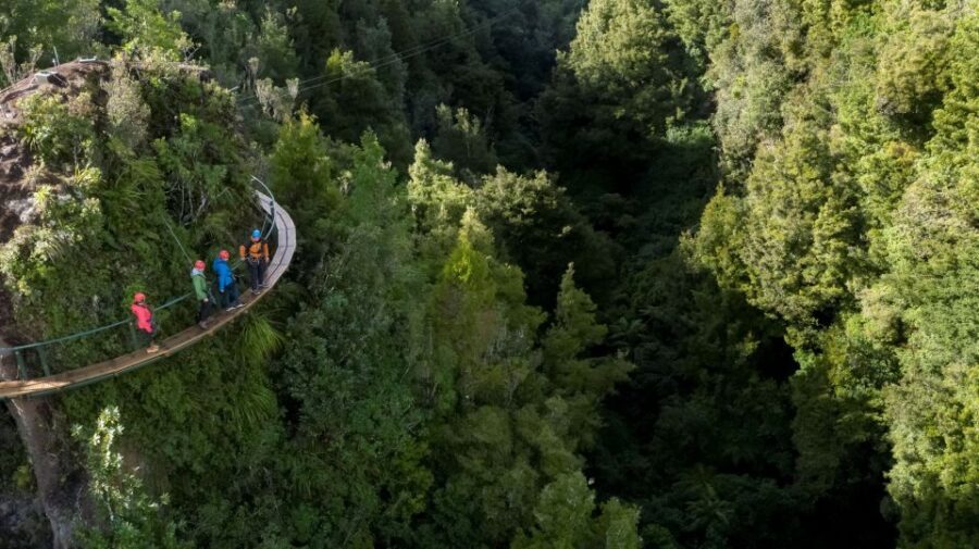 Rotorua: 6 Ziplines, 400m Tandem, Cliff Walk & Swing Bridges - The Value and Overall Impressions