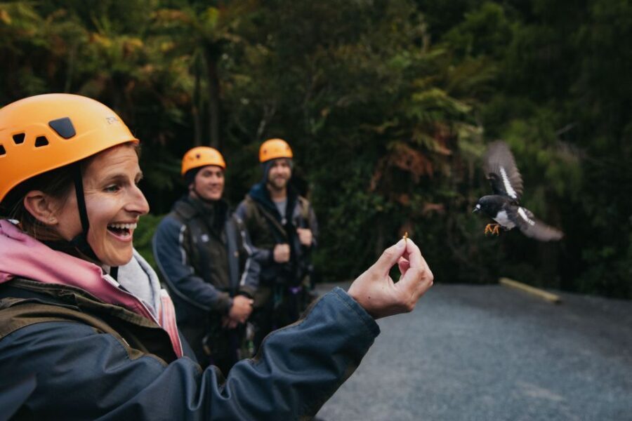 Rotorua: 6 Ziplines, Swing-Bridges & Wildlife Encounters - The Itinerary: What’s Included