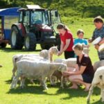 Rotorua Adventures Private Tour - The Sum Up: Who Should Consider This Tour?