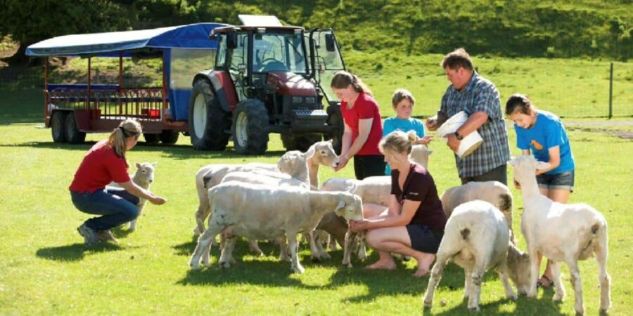 Rotorua Adventures Private Tour - The Sum Up: Who Should Consider This Tour?