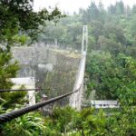 Rotorua and Waitomo - The Itinerary in Detail