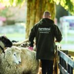 Rotorua: Authentic Kiwi Farm Experience at the Agrodome - Authentic Farming Insights That Matter