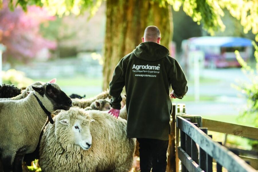 Rotorua: Authentic Kiwi Farm Experience at the Agrodome - Authentic Farming Insights That Matter