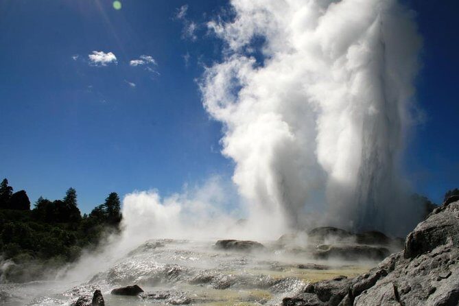 Rotorua Discovery Te Puia Tour - Exploring the Itinerary in Depth