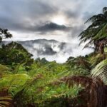 Rotorua Eco Cultural full day tour (Wai o Tapu, Waimangu,Te puia) - An In-Depth Look at the Itinerary