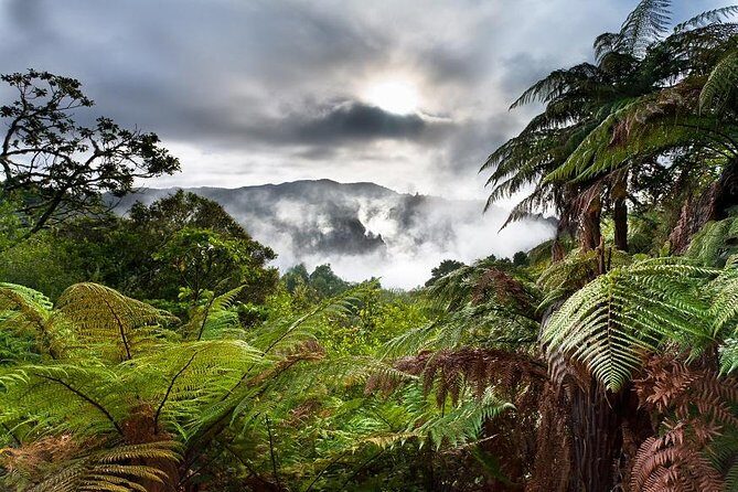 Rotorua Eco Cultural full day tour (Wai o Tapu, Waimangu,Te puia) - An In-Depth Look at the Itinerary