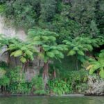 Rotorua Evening Big Kanu Starlight Tour - What Travelers Are Saying
