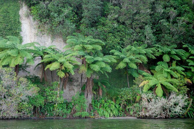 Rotorua Evening Big Kanu Starlight Tour - What Travelers Are Saying