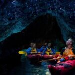 Rotorua: Evening Starlight Gourmet Kayak Tour Glowworms - What to Expect: A Practical Breakdown
