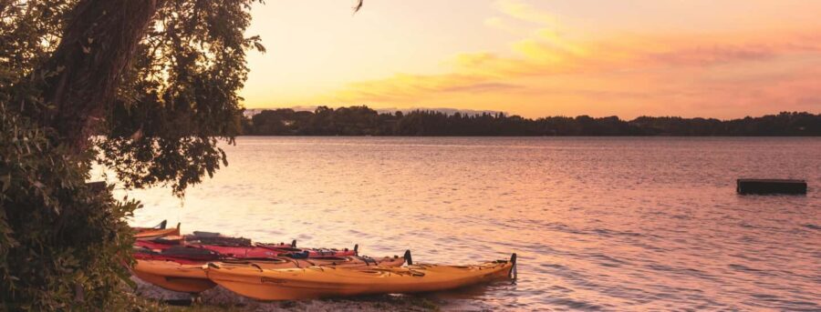 Rotorua: Evening Starlight Gourmet Kayak Tour with dinner - What Makes This Tour Stand Out