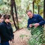 Rotorua: Explore The Lakes Half-Day Morning Tour - In-Depth Breakdown of Each Stop
