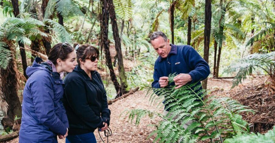 Rotorua: Explore The Lakes Half-Day Morning Tour - In-Depth Breakdown of Each Stop