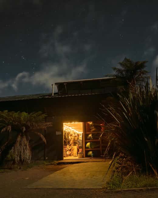 Rotorua: Glow Worm Kayak Tour - The Glow Worm Caves: A Galaxy of Shimmering Tiny Lights