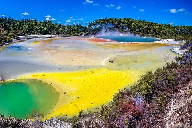 Rotorua Highlights Tour from Auckland with Optional Extras - A Closer Look at the Rotorua Highlights Tour