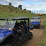 Rotorua Off-Road 4WD Buggy Adventure - Who Should Take This Tour?
