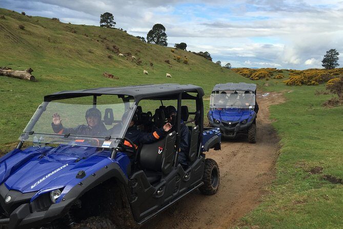 Rotorua Off-Road 4WD Buggy Adventure - Who Should Take This Tour?