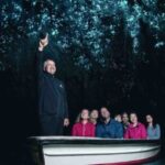 Rotorua: One-Way Trip to Auckland via Hobbiton & Waitomo - The Scenic Drive to Waitomo Caves