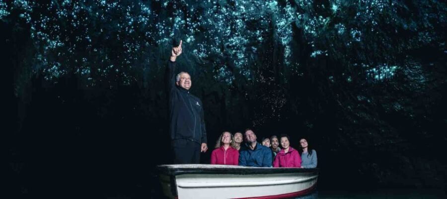 Rotorua: One-Way Trip to Auckland via Hobbiton & Waitomo - The Scenic Drive to Waitomo Caves