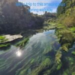 Rotorua: Private Day Tour with Tesla Model Y - The Experience: What Travelers Are Saying