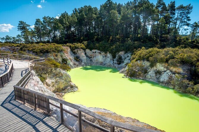 Rotorua Private Tour from Tauranga (up to 15 people) - Who Will Enjoy This Tour?